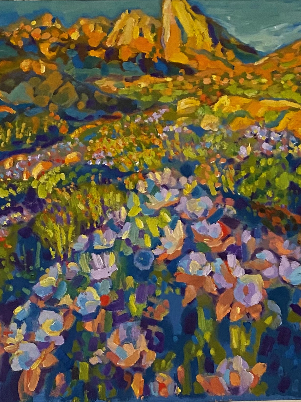 Flowers & Sun - Andy Kimmel