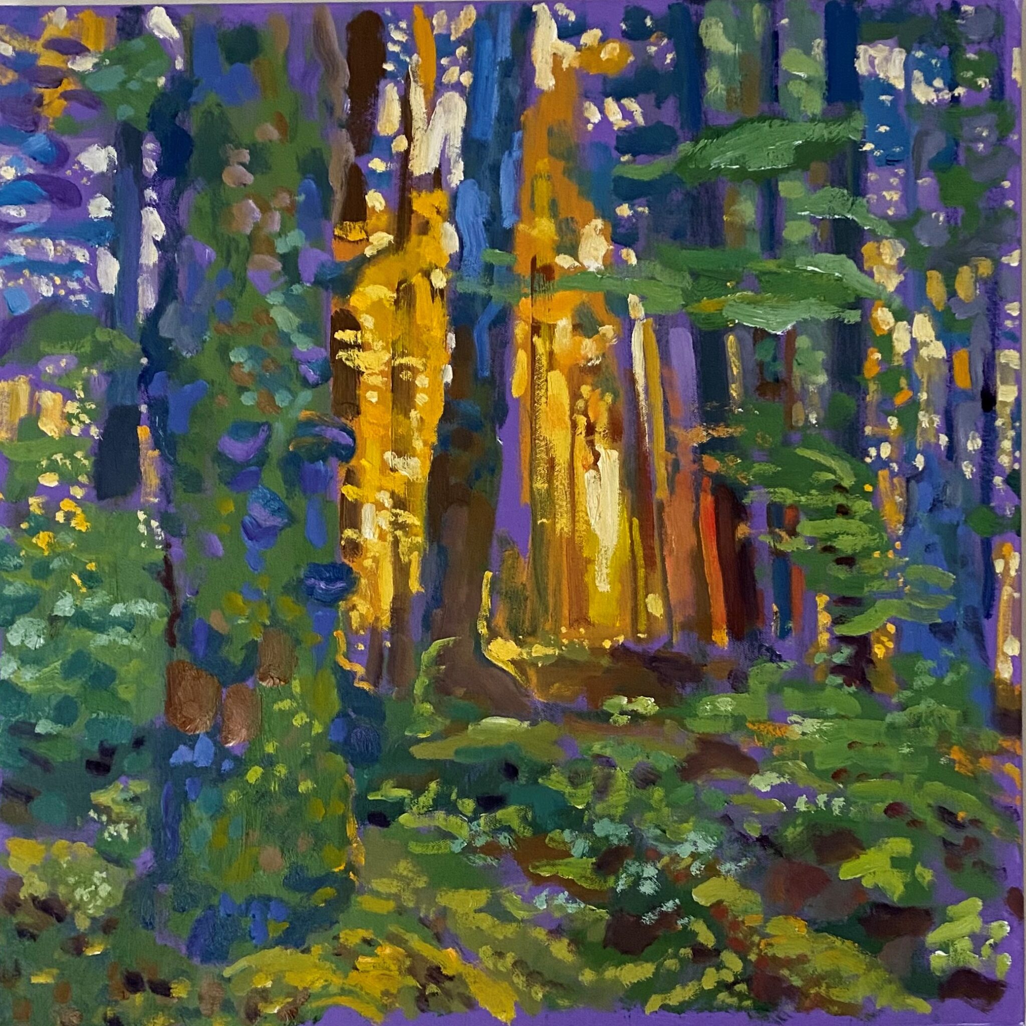 Untitled forest light square - Andy Kimmel