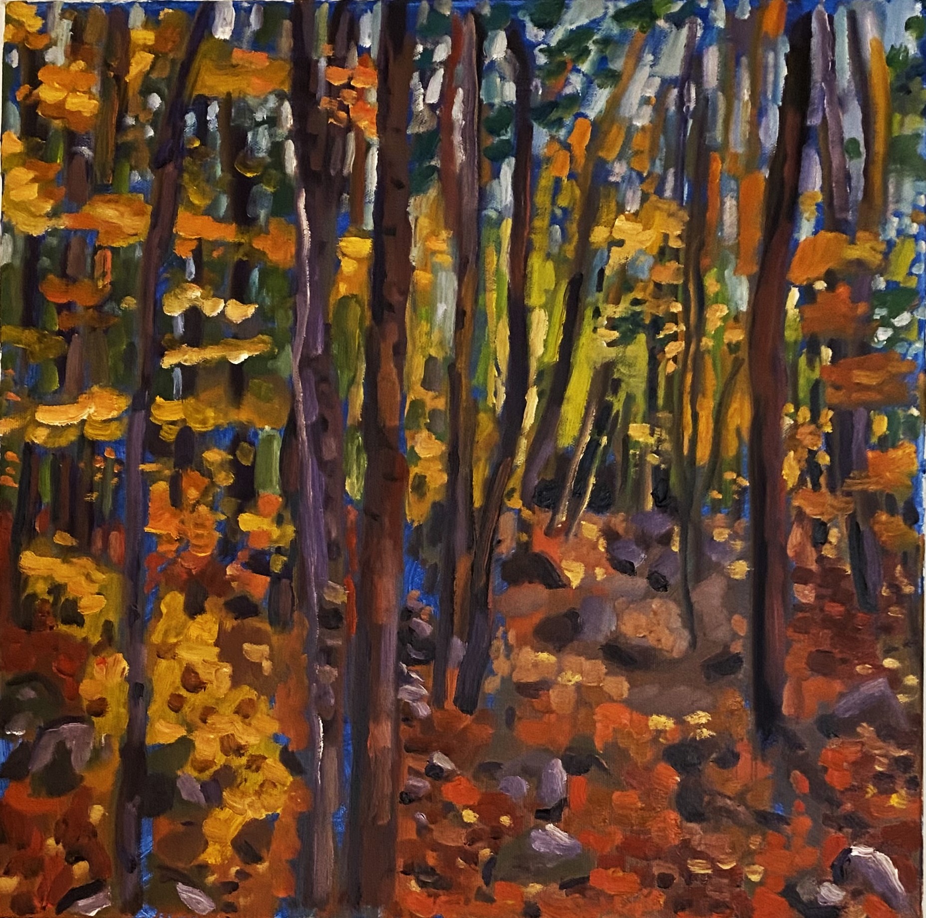 untitled fall forest - Andy Kimmel